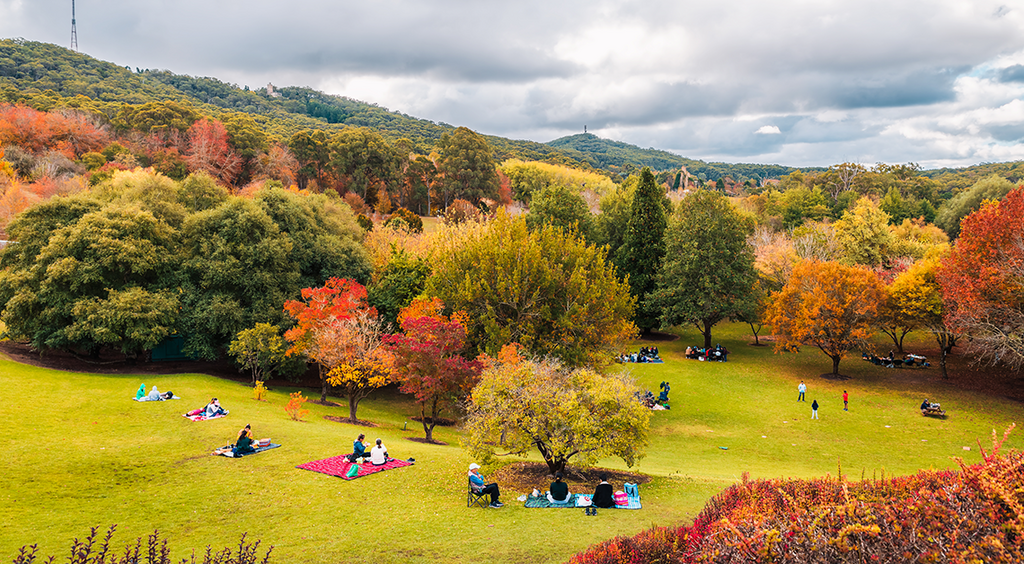 Health Partners | Things to do in Adelaide this Autumn