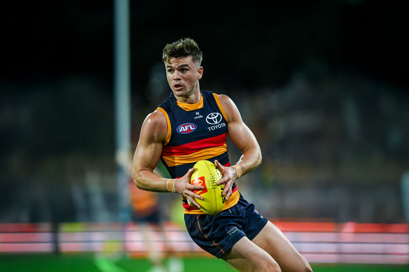 Health Partners | Health Insurance | Great Value Private Health…