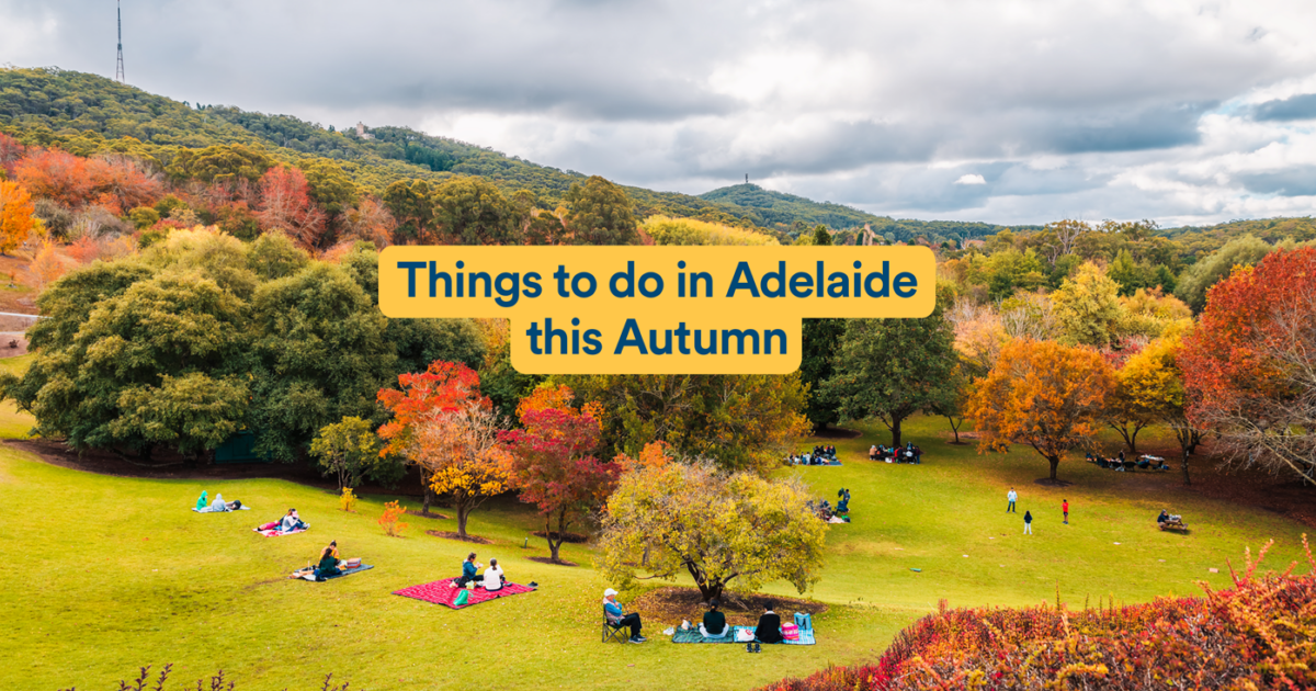 Health Partners | Things to do in Adelaide this Autumn